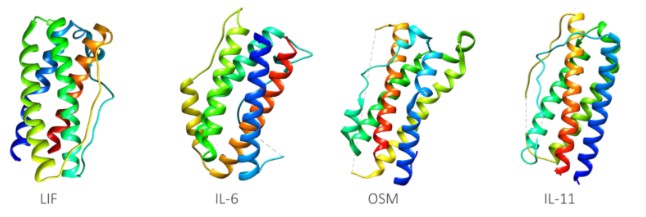 Cytokine Detection ELISA Kits - Creative Diagnostics