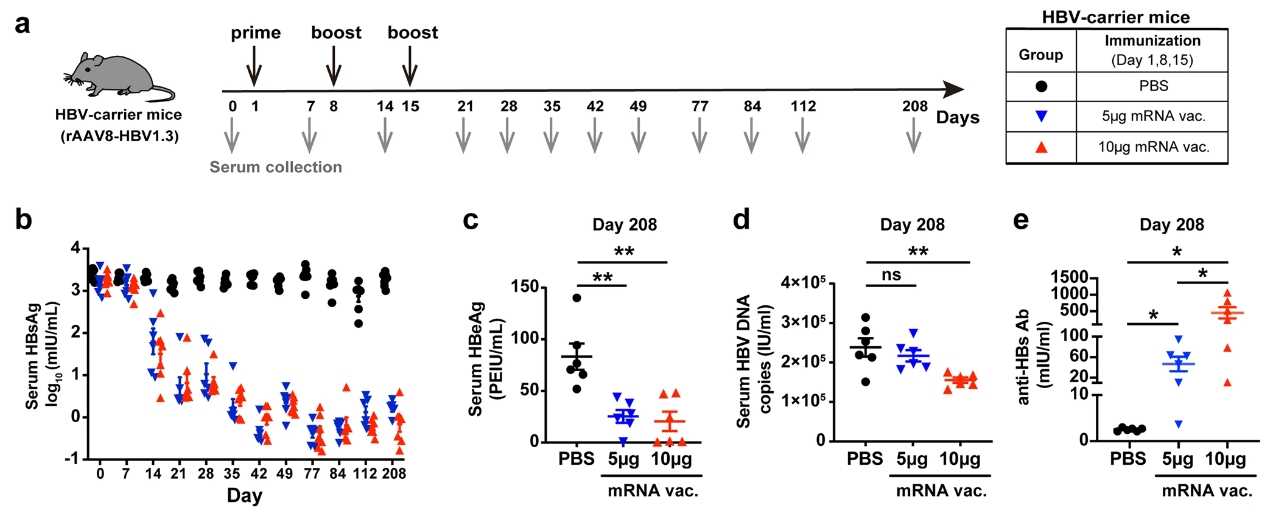 Recombinant Staphylococcus Aureus Enterotoxin B Seb Dag Wt627 Creative Diagnostics