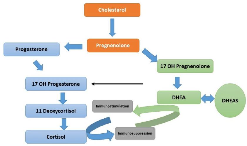 Research Review - Creative Diagnostics
