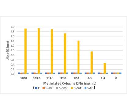 DNA/RNA Methylation Antibodies - Creative Diagnostics