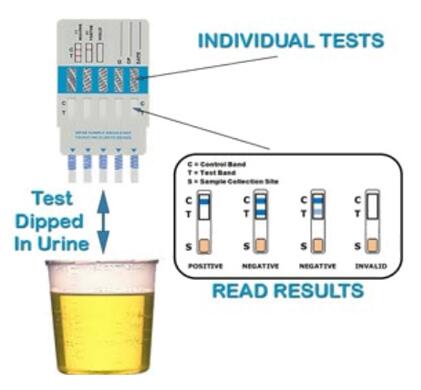 Antibodies for Drugs of Abuse - Creative Diagnostics