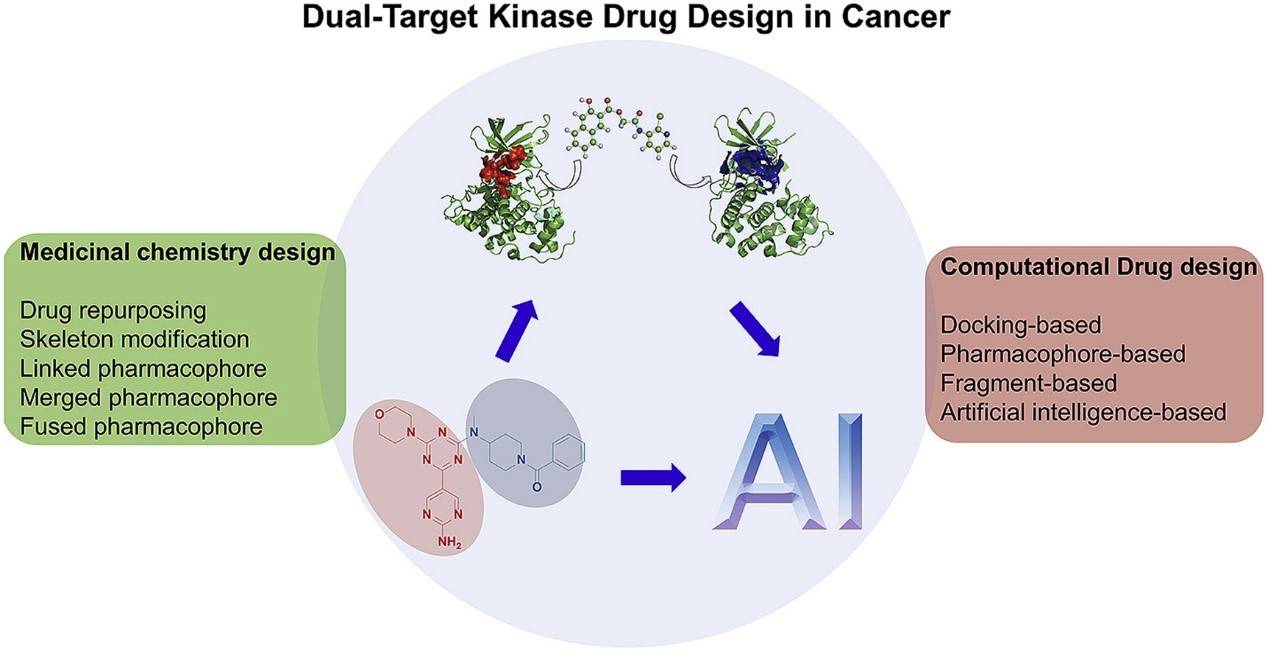 Dual-Target Covalent Small Molecule Drugs: Synergistic Mechanisms ...