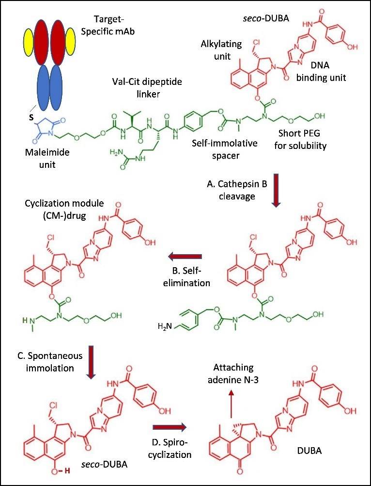 Research Review - Creative Diagnostics