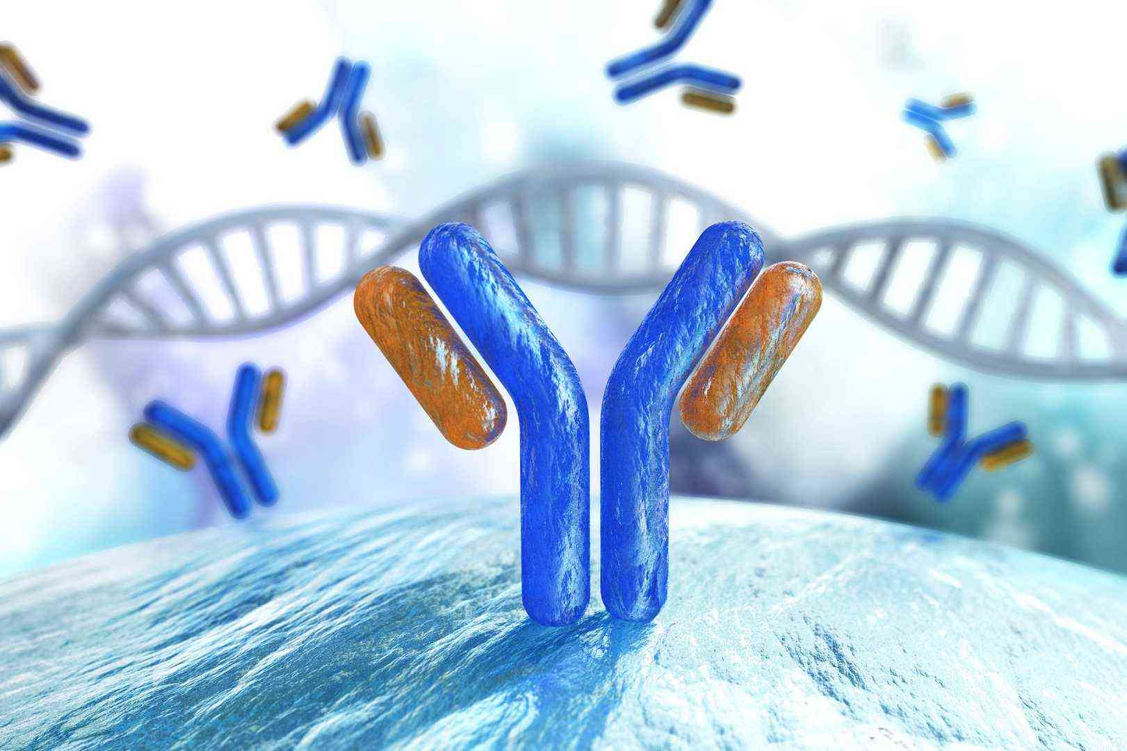 Efficient and Convenient DNA Immunization Antibody Production - Creative Diagnostics