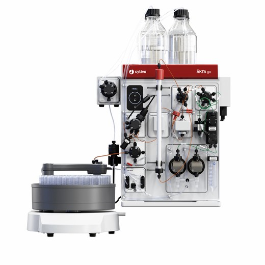 Efficient Protein Antigen Expression - Creative Diagnostics