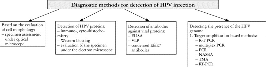 Elisa Assay for HPV - Creative Diagnostics
