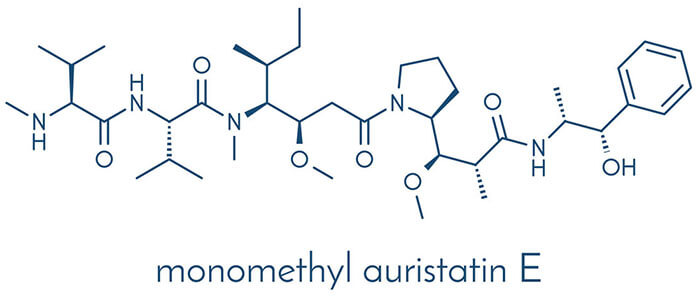 ELISA for ADA and PK in Macromolecule Drug Research - Creative Diagnostics