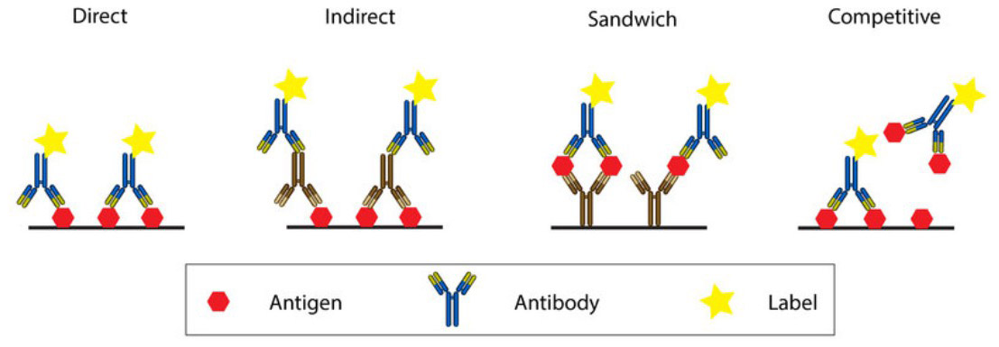 Research Review - Creative Diagnostics