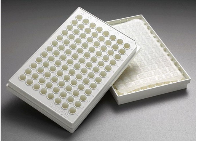 ELISPOT Protocol's Membranes and Membrane Plates - Creative Diagnostics