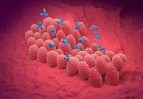 Endometrial Cancer - Creative Diagnostics