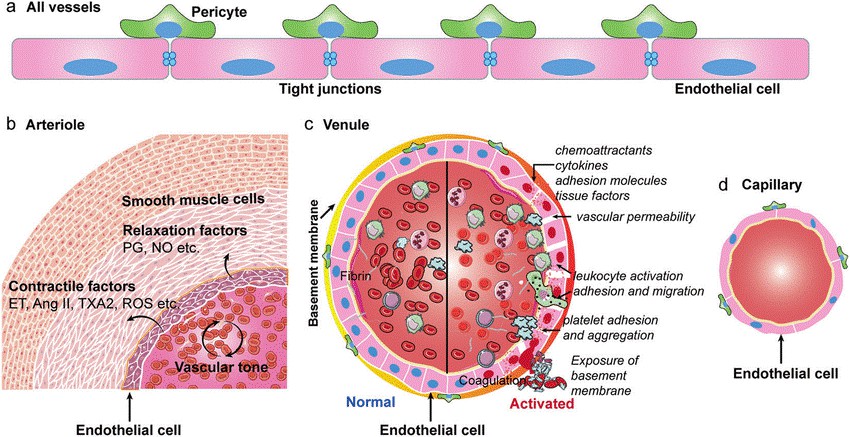 Research Review - Creative Diagnostics