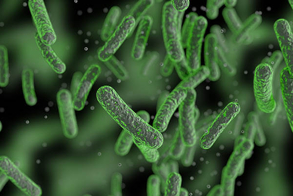 Endotoxin - Creative Diagnostics