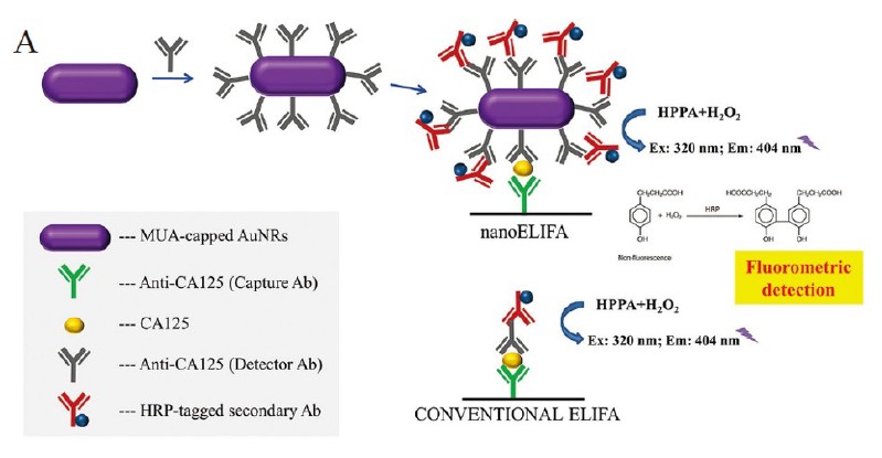 Enzyme-Linked Immunosorbent Assays (ELISA) Platform - Creative Diagnostics