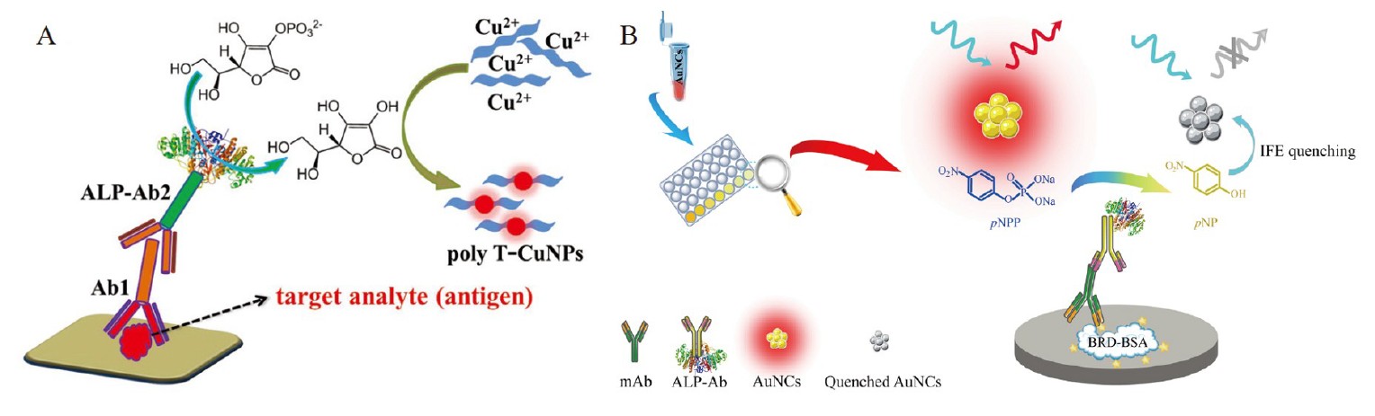 Enzyme-Linked Immunosorbent Assays (ELISA) Platform - Creative Diagnostics