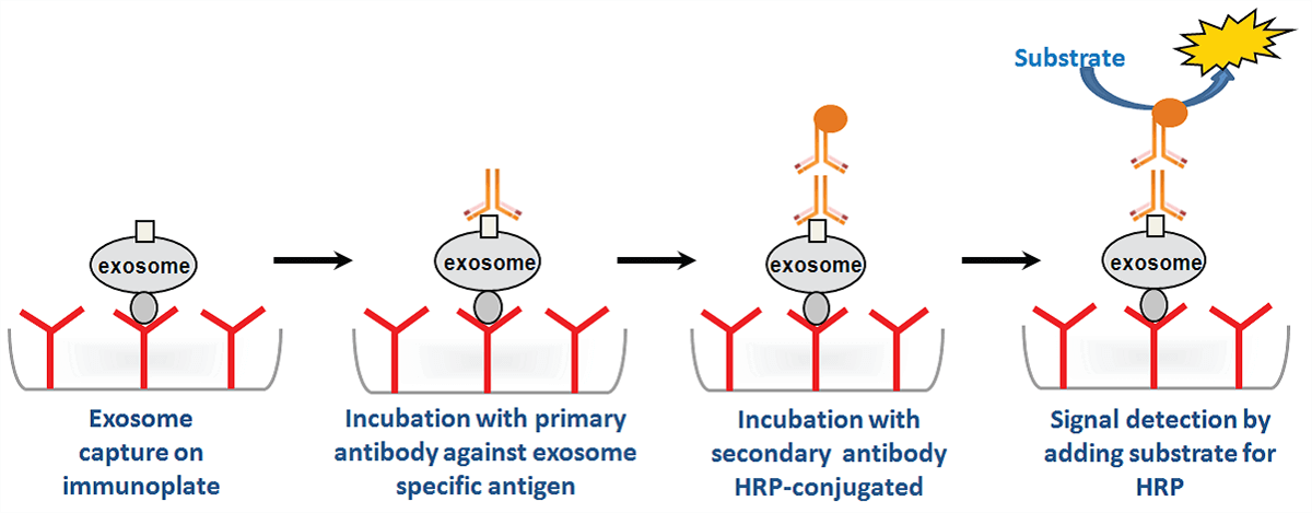 Exosome Quantification Immunoassay Kits - Creative Diagnostics
