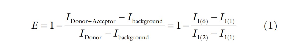 Flow Cytometric FRET Analysis of Protein Interaction Protocol ...