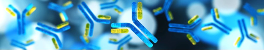 Research Review - Creative Diagnostics