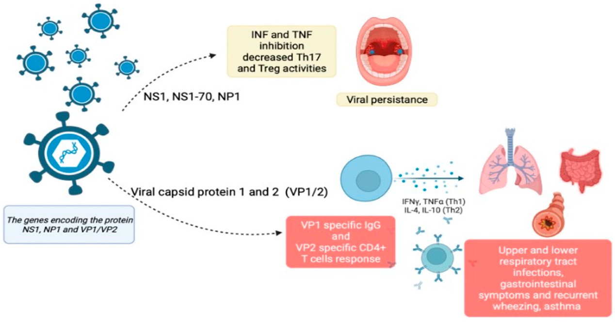 Research Review - Creative Diagnostics