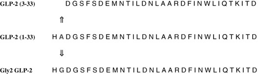 GLP-2/GLP-2R: Promising Targets for The Short Bowel Syndrome - Creative ...