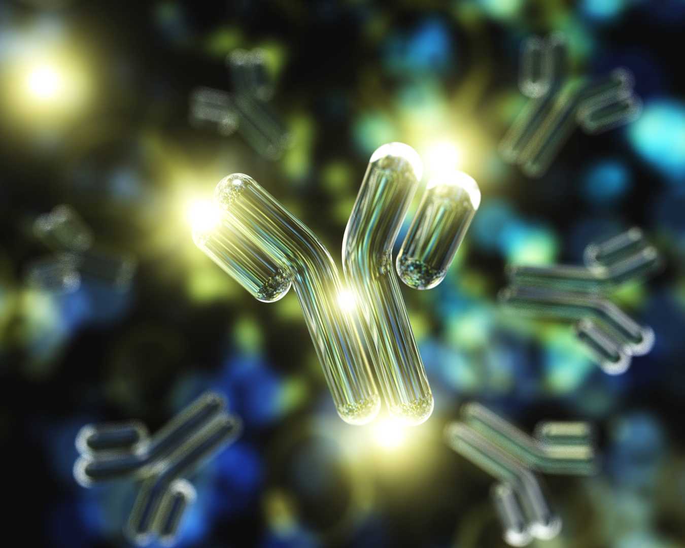 Guidelines for Immunology Studies with Pyrrolobenzodiazepines (PBDs ...