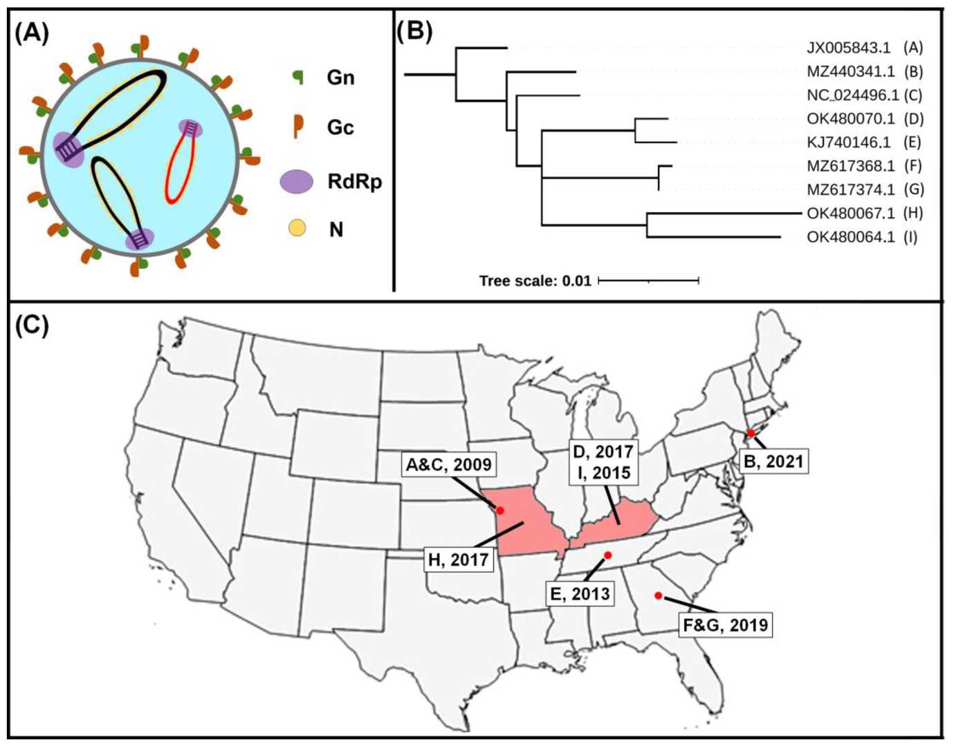 Heartland Virus - Creative Diagnostics
