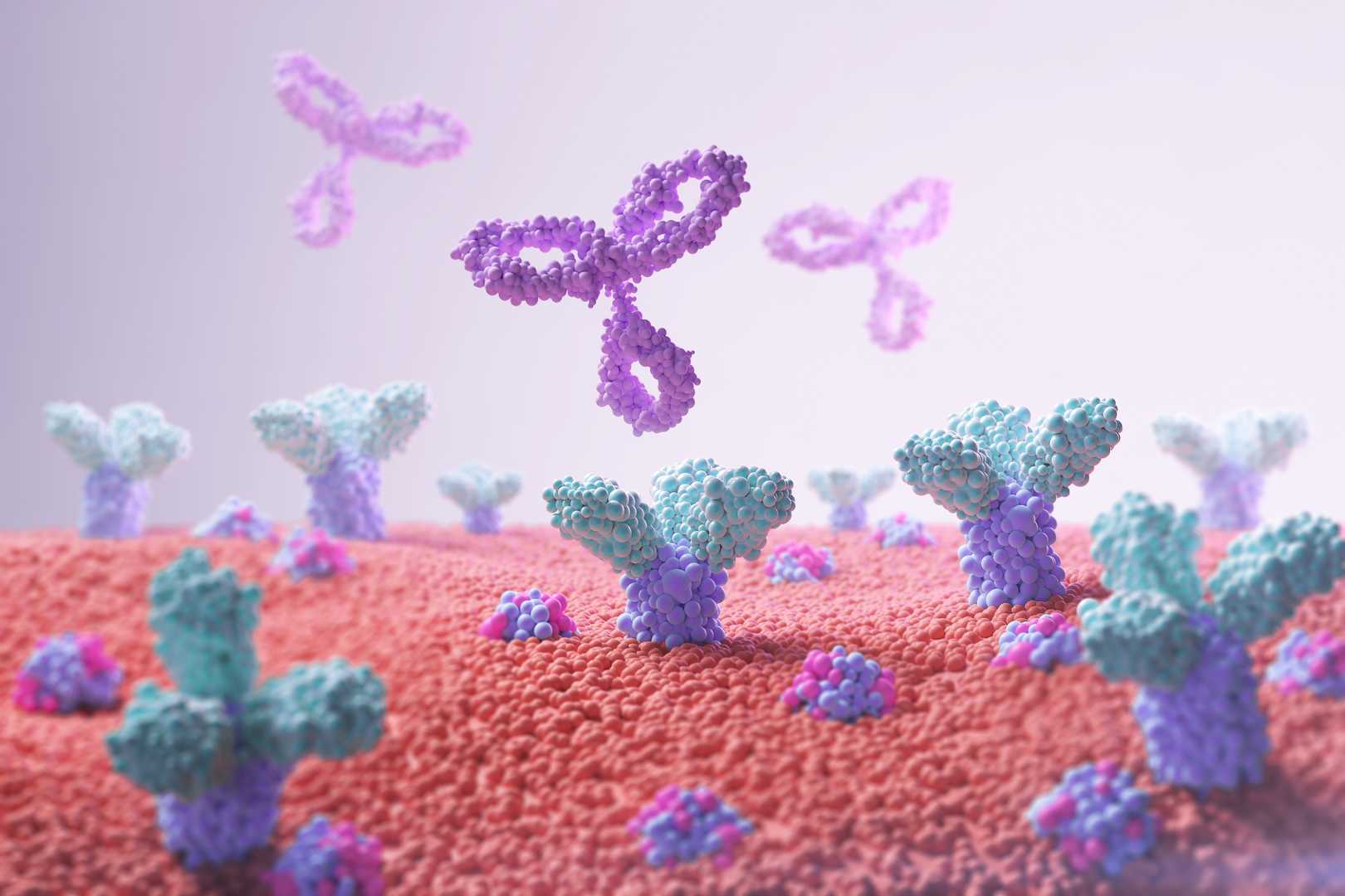 Herpes Simplex Virus - Creative Diagnostics