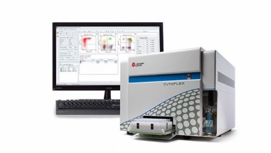 High Specificity and Affinity Anti-idiotype Antibody - Creative Diagnostics
