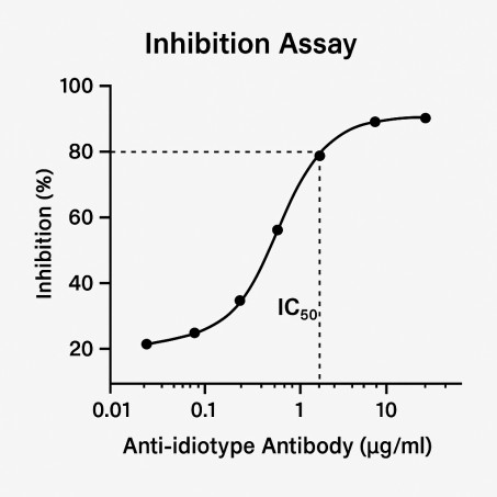 High Specificity and Affinity Anti-idiotype Antibody - Creative Diagnostics