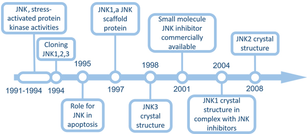 JNK Signaling Pathway - Creative Diagnostics