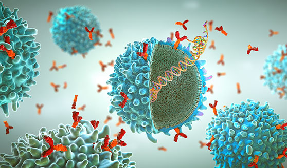 How to Choose and Use Antibodies - Creative Diagnostics