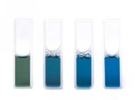 How to Determine Protein Concentration - Creative Diagnostics