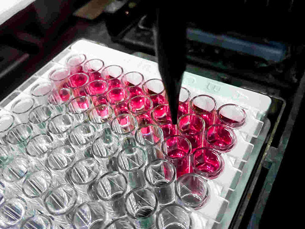 HPV Antibodies - Creative Diagnostics