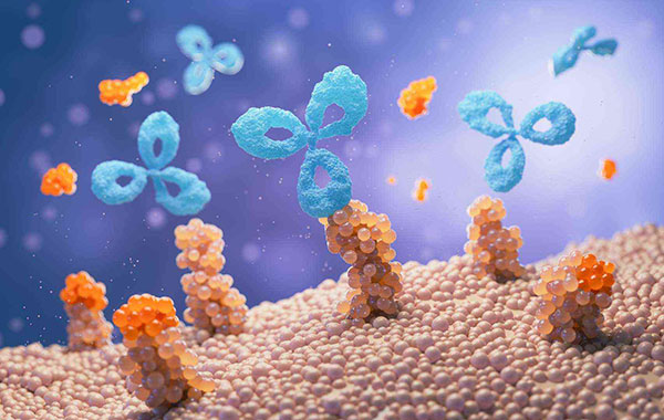 HPV Antibodies - Creative Diagnostics