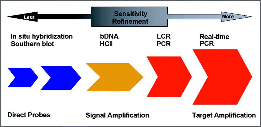 HPV Testing Methods - Creative Diagnostics