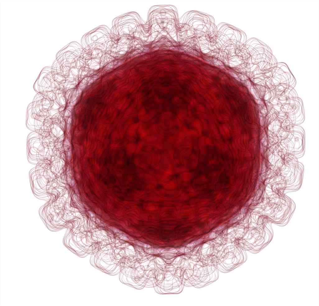 Human Herpesvirus Family Testing - Creative Diagnostics