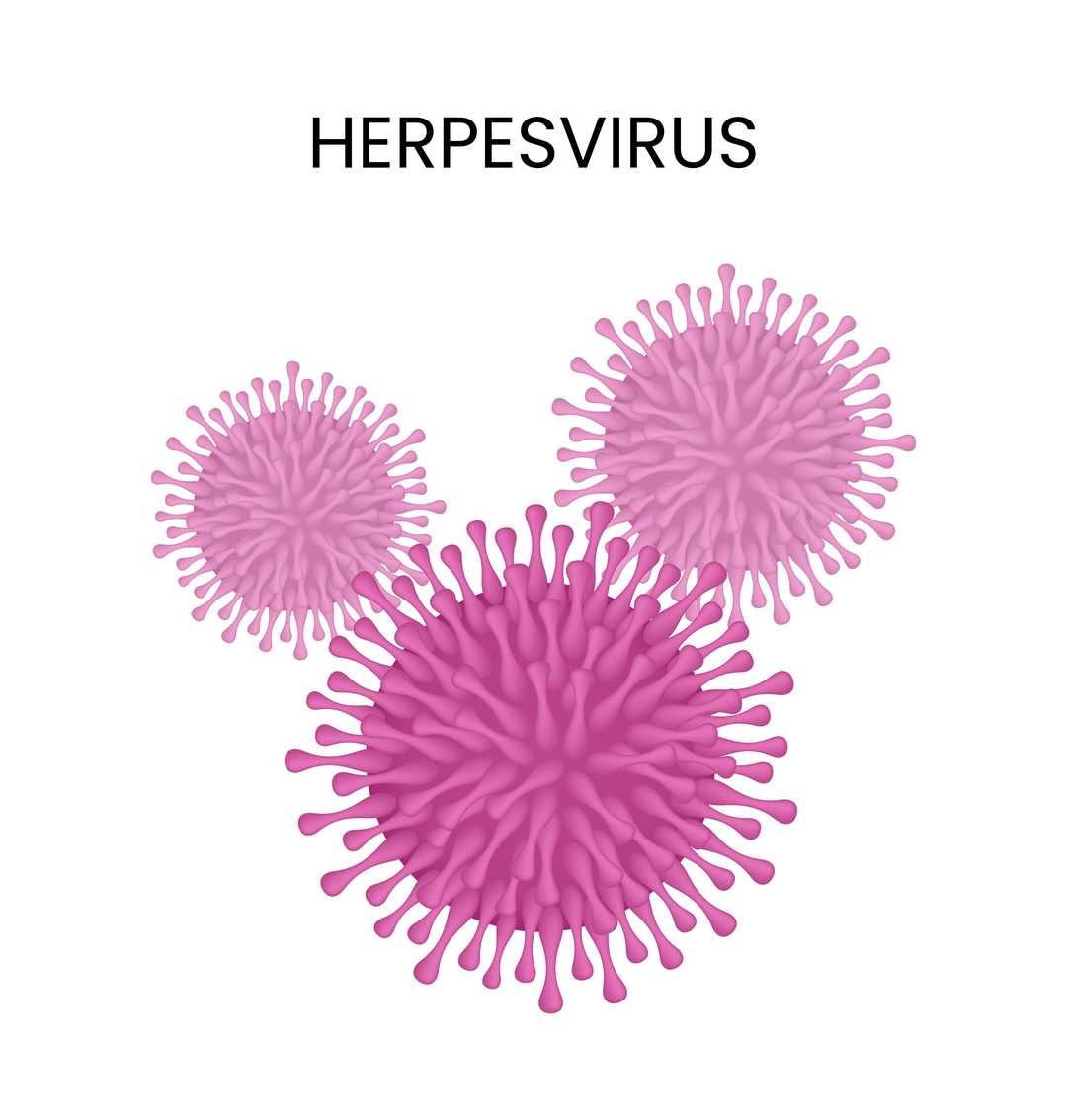 Human Herpesvirus (HHV) ELISA Kits: High-Throughput ELISA Solutions ...