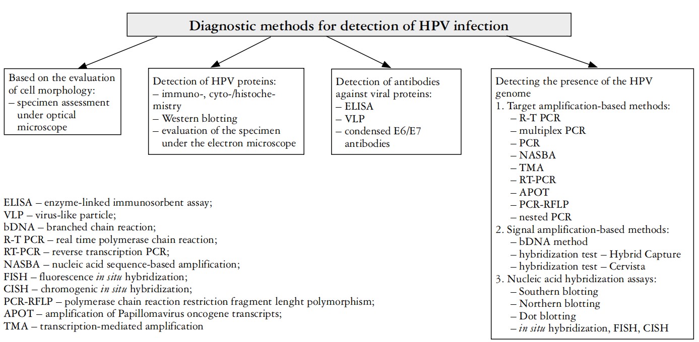 Human Papillomavirus Detection Method - Creative Diagnostics