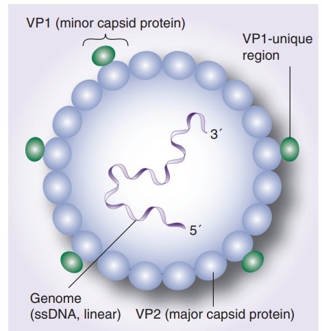 Research Review - Creative Diagnostics