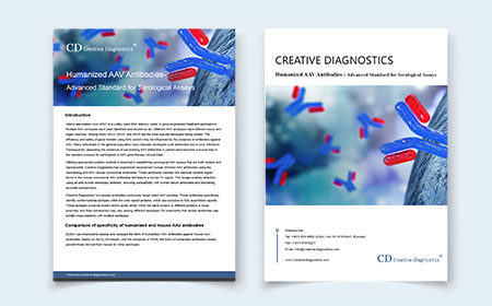 AAV Rep Proteins - Creative Diagnostics