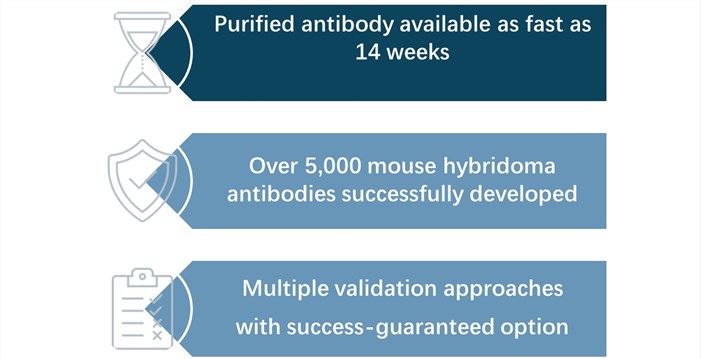 Hybridoma Development Service - Creative Diagnostics