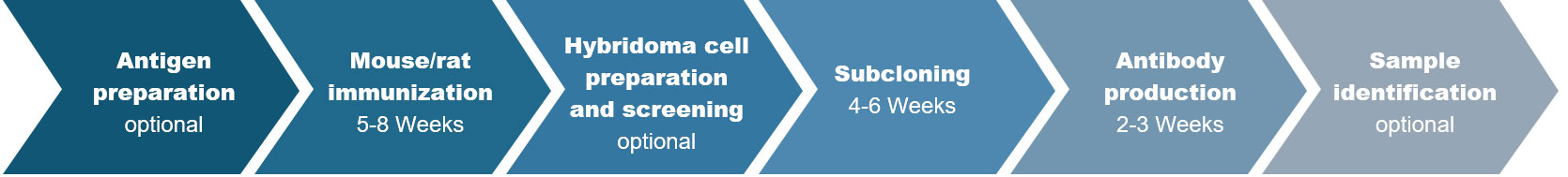 Hybridoma Development Service - Creative Diagnostics
