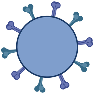 Tumor Markers Antibodies and Antigens - Creative Diagnostics