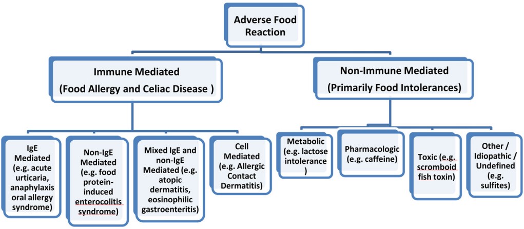 IgE-Mediated Food Allergy - Creative Diagnostics
