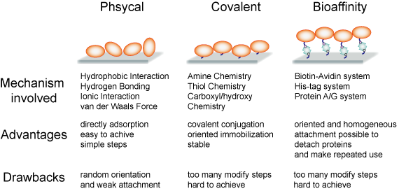 ELISA Development Guide - Creative Diagnostics