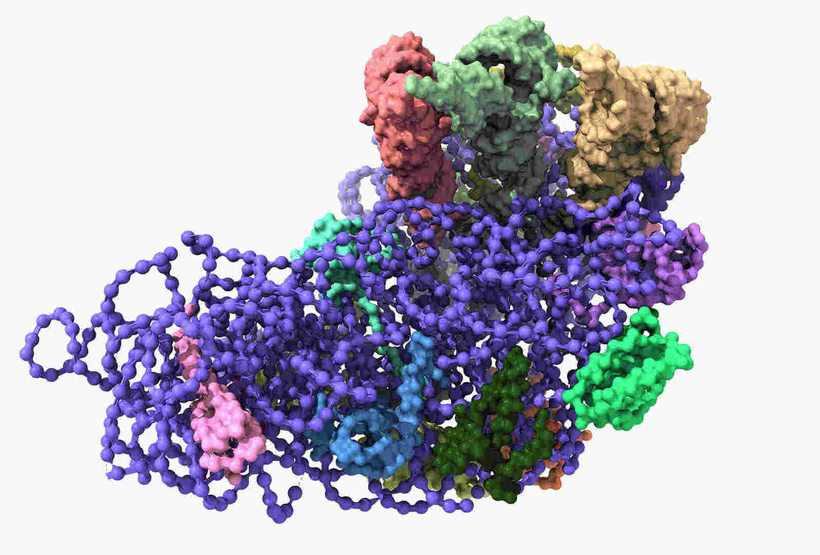 In-depth Epitope Mapping - Creative Diagnostics