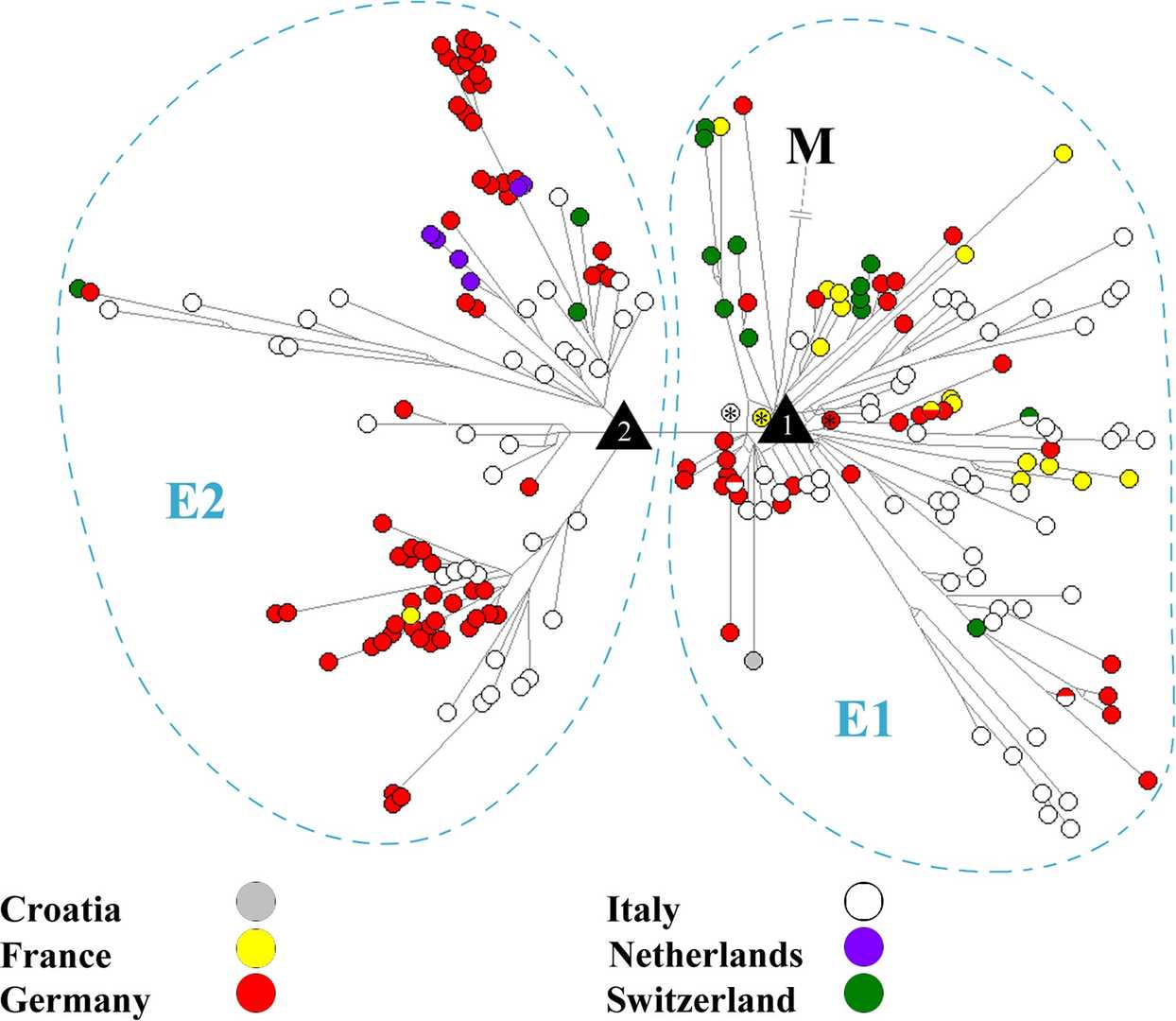 Infectious Hematopoietic Necrosis Virus - Creative Diagnostics