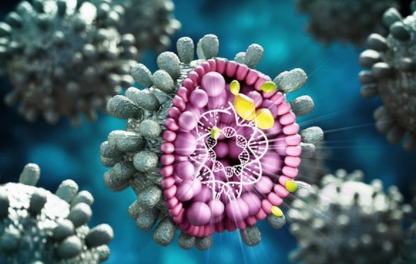 Influenza Virus - Creative Diagnostics