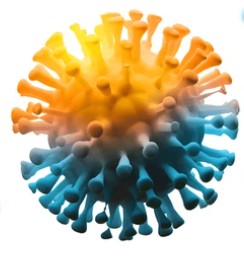 Influenza Virus - Creative Diagnostics