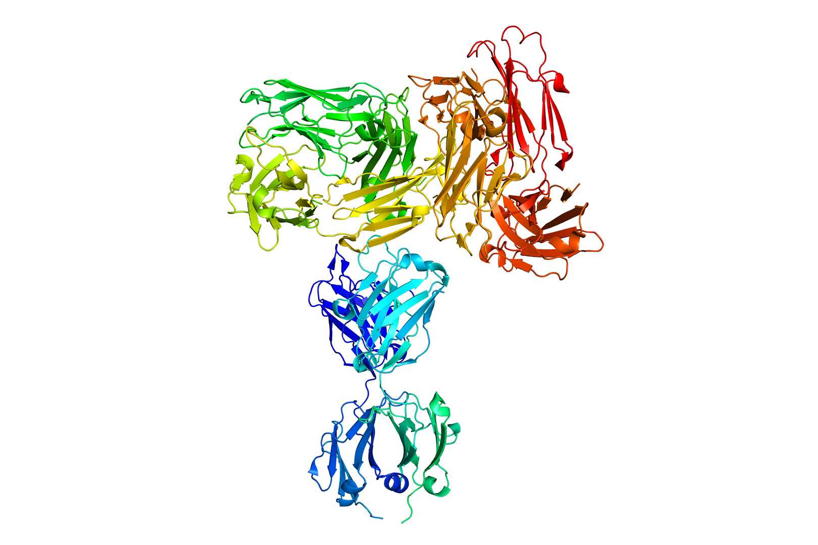 Intact DM1 ADC ELISA Quantification Kit - Creative Diagnostics