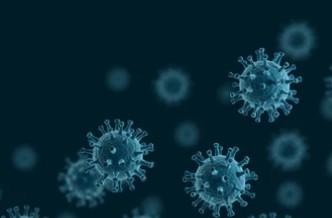 Intact DM1 ADC ELISA Quantification Kit - Creative Diagnostics